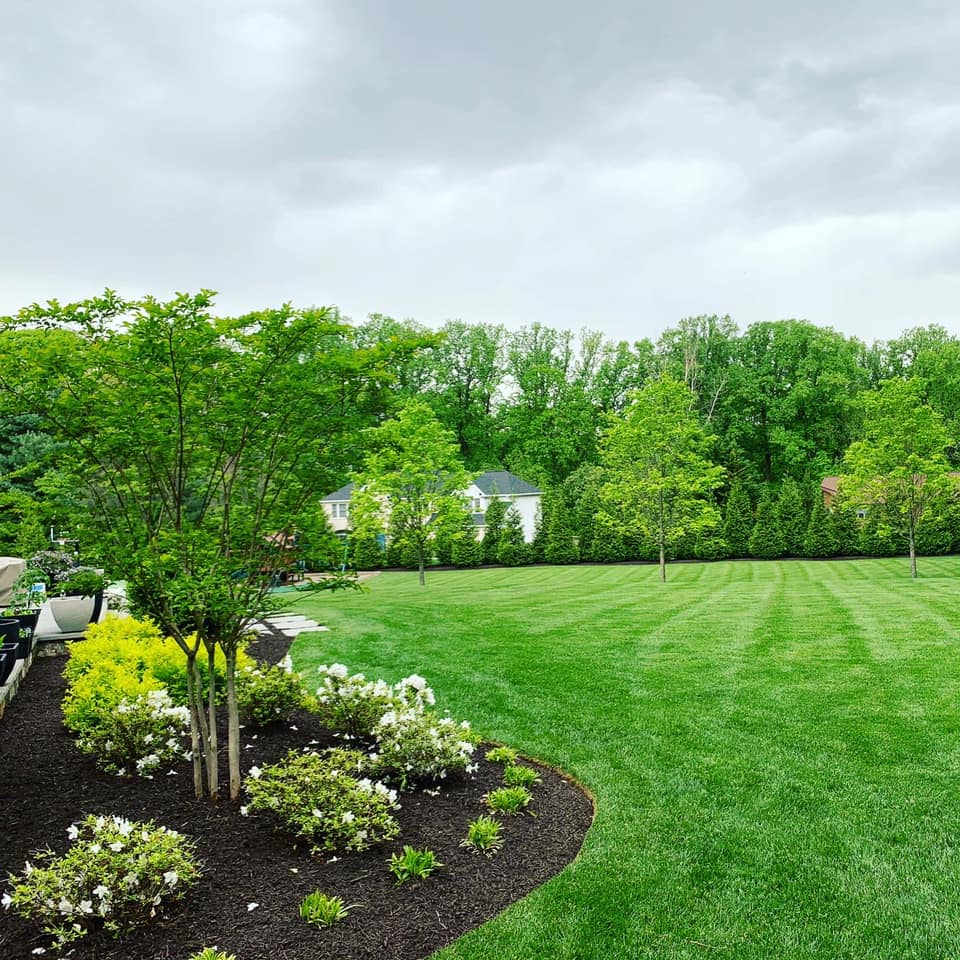 Residential Services - Decorus Landscape