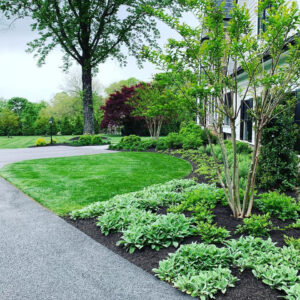 Residential Services - Decorus Landscape