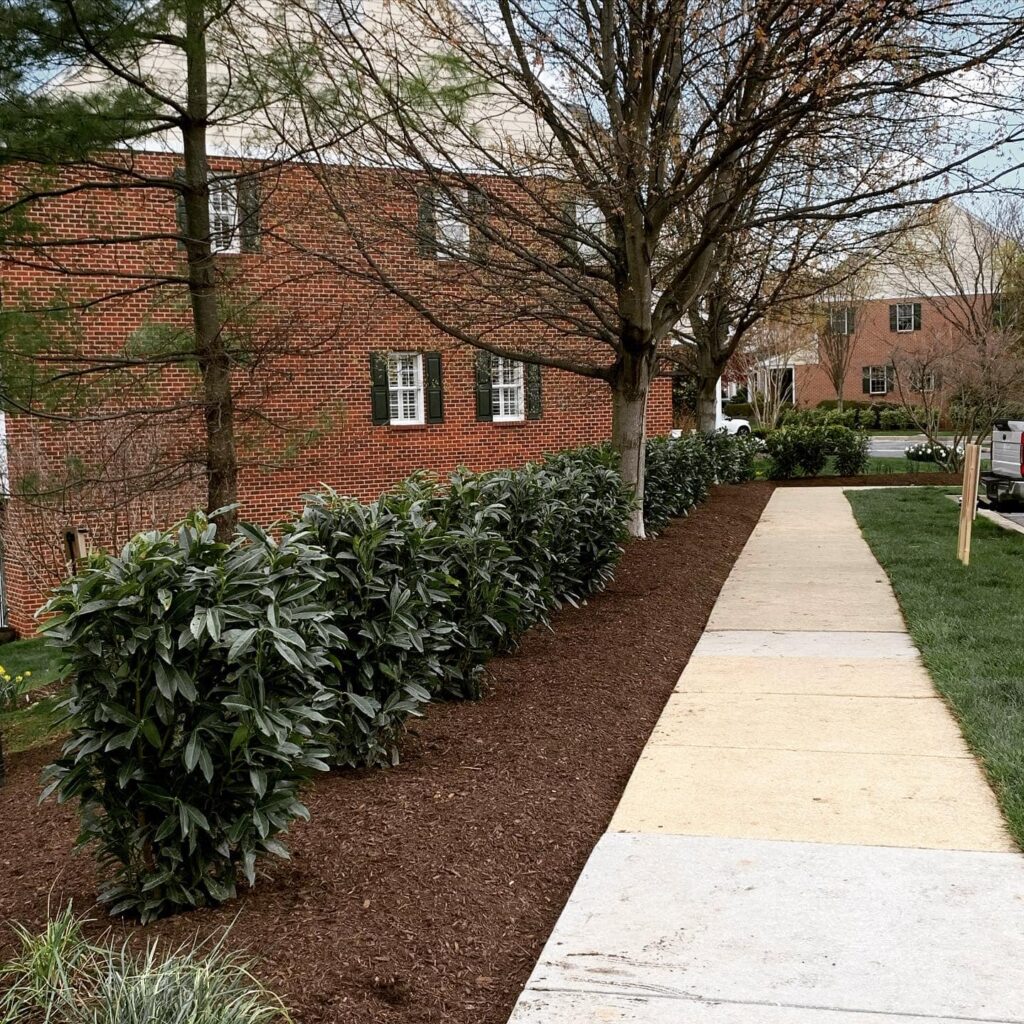 Commercial Services - Decorus Landscape