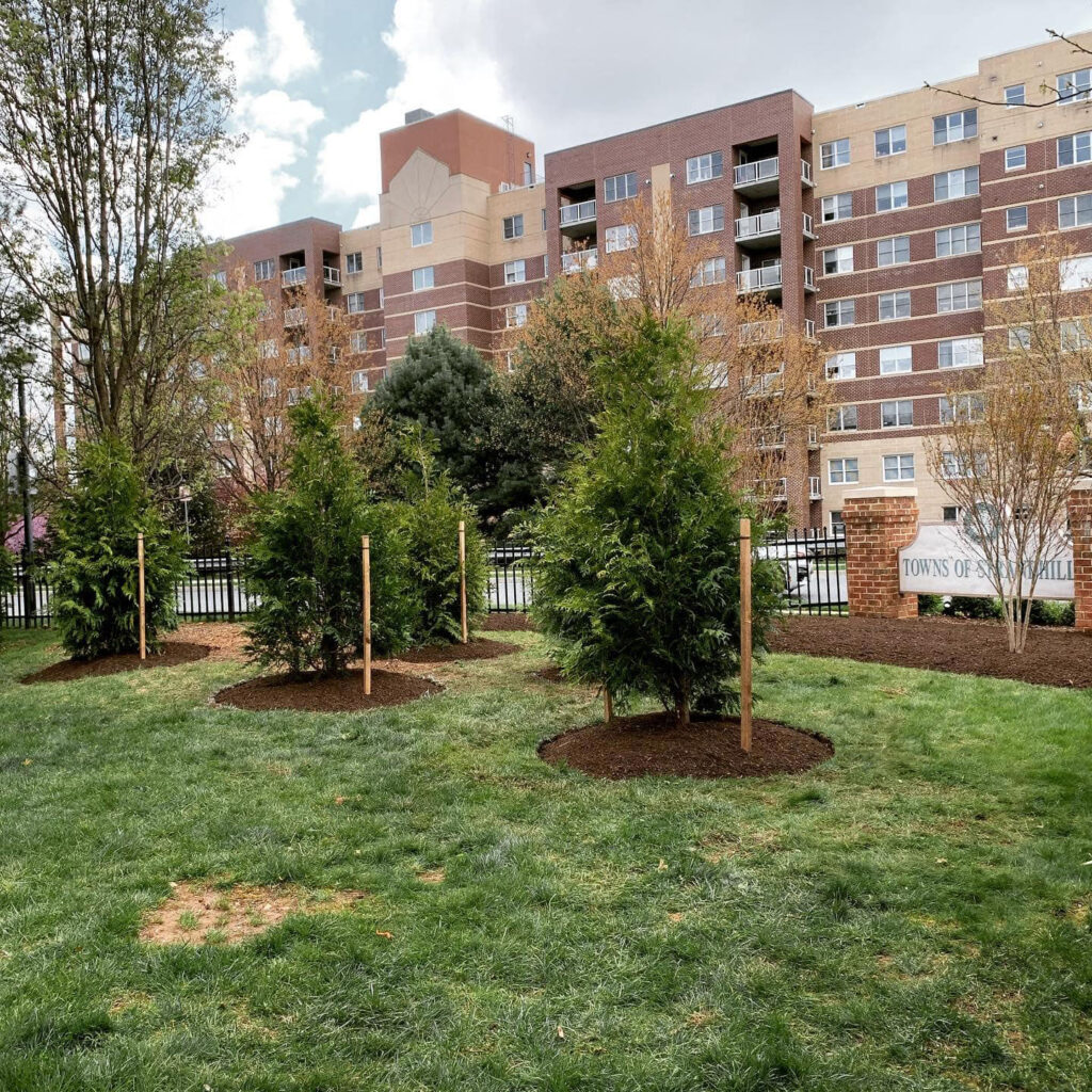 Commercial Services - Decorus Landscape